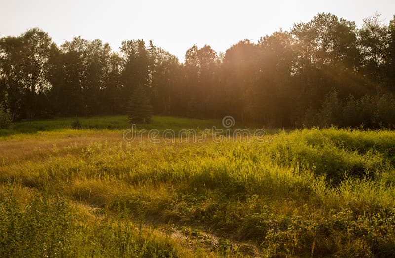 Meadows at Sunset stock image. Image of sunlight, rural - 129664899