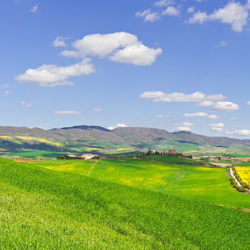 Meadows of Tuscany stock image. Image of alley, countryside - 87647897