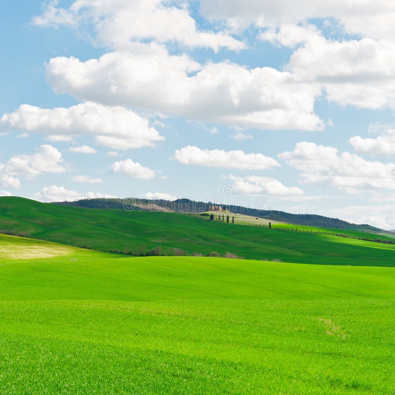 Meadows of Tuscany stock photo. Image of field, farming - 87648040