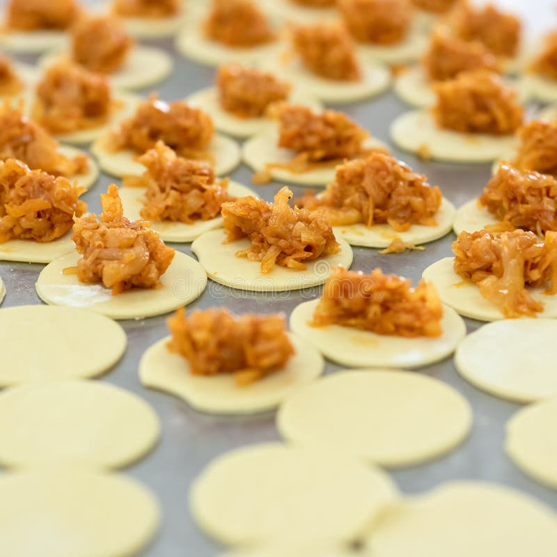 Meal Cooking of Convenient Food. Process Preparation of Dumplings with ...