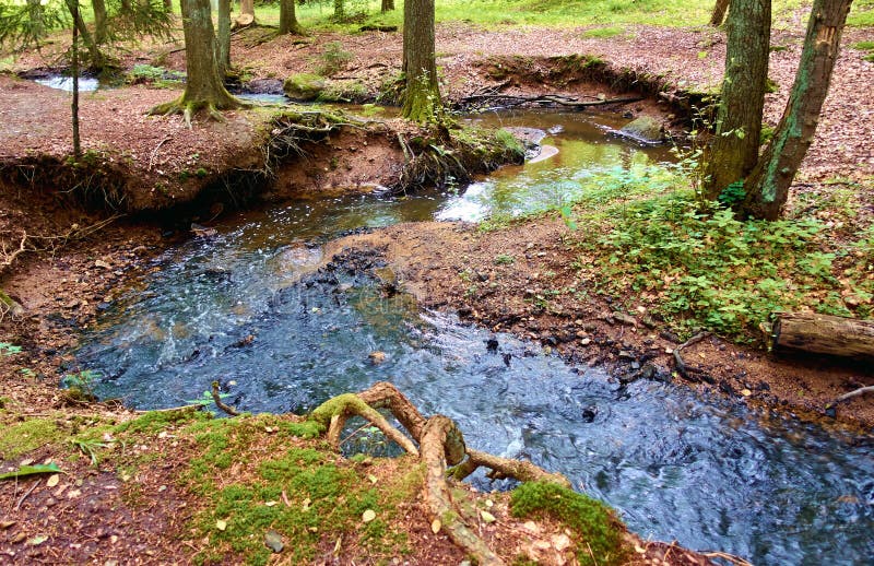 Meander creek stock image. Image of limb, curve, landscape - 226236161