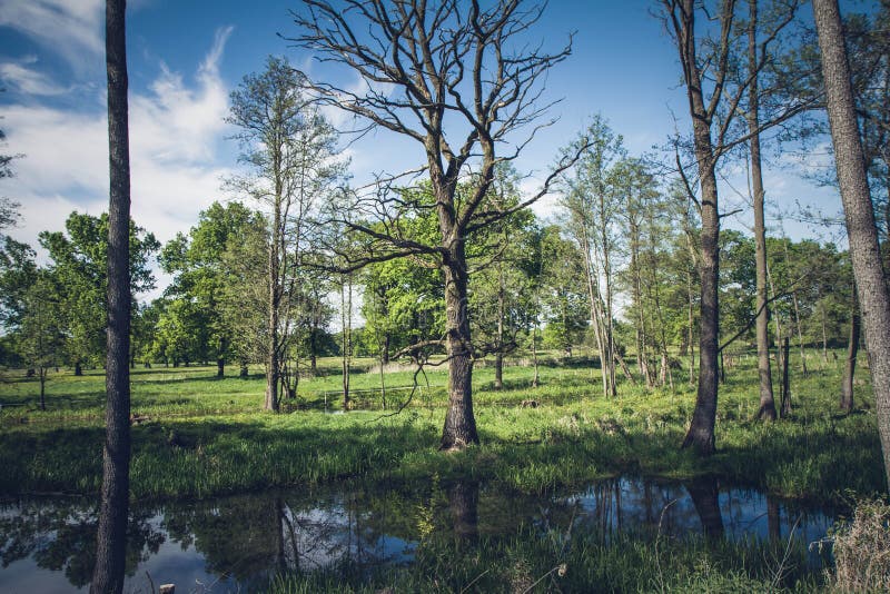Meander cutoff of a river stock photo. Image of cloud - 110785014