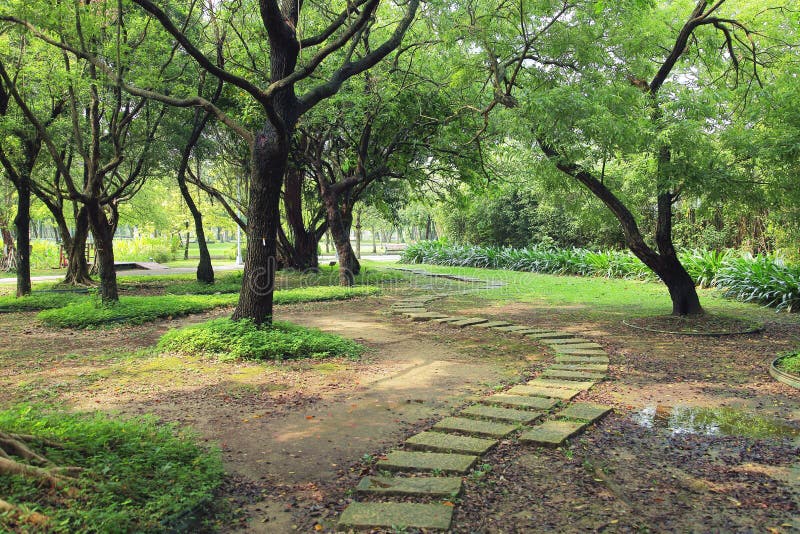 The Meander Walk Path in Park Stock Image - Image of peaceful, forest ...