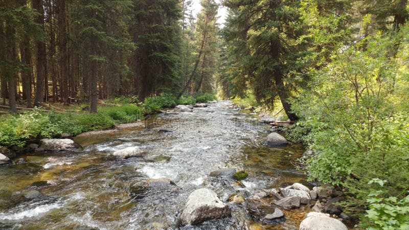 Meandering Brook stock photo. Image of peaceful, meandering - 137378920