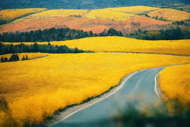 Meandering Empty Road Beyond Horizont through Yellow-green Fields Stock ...