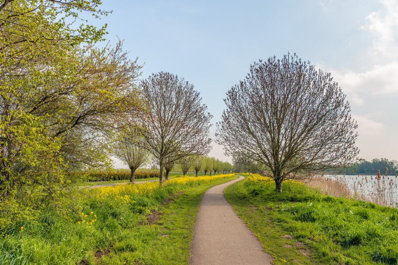 Meandering Path through a Colorful Spring Landscape Stock Image - Image ...