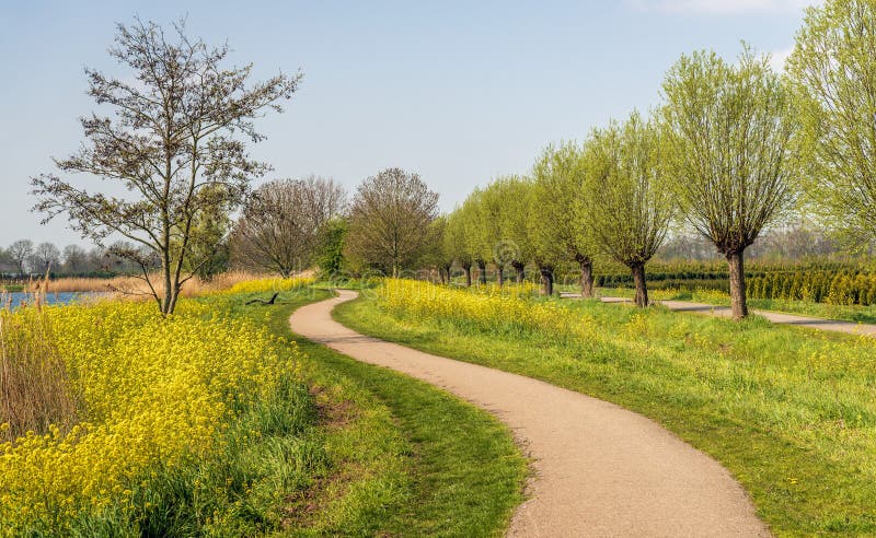 Meandering Path in Springtime Stock Photo - Image of countryside ...