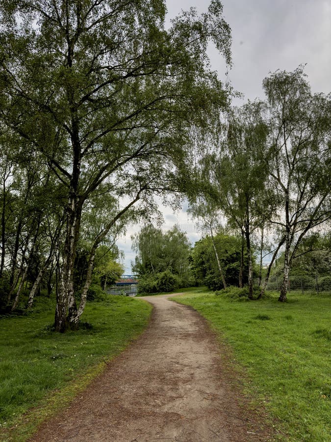 Meandering Path through a Tree-lined Field Stock Image - Image of trees ...