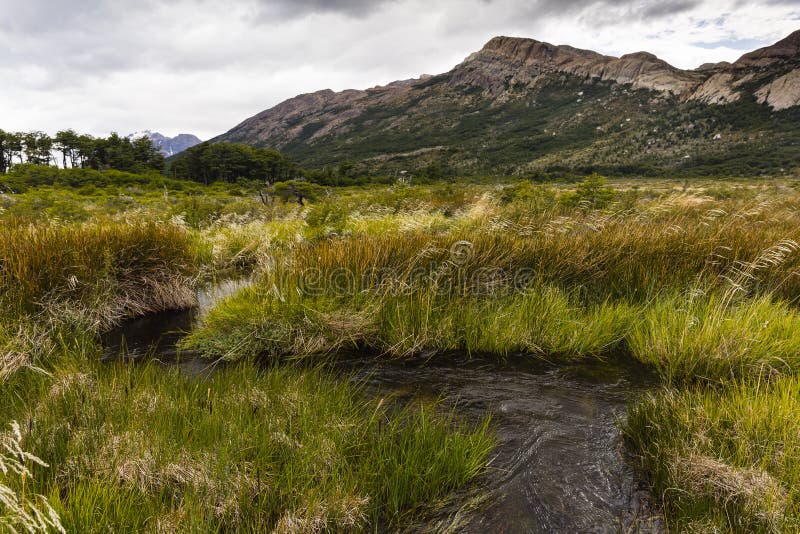 Meandering Stream through a Meadow Stock Photo - Image of meadow, lush ...