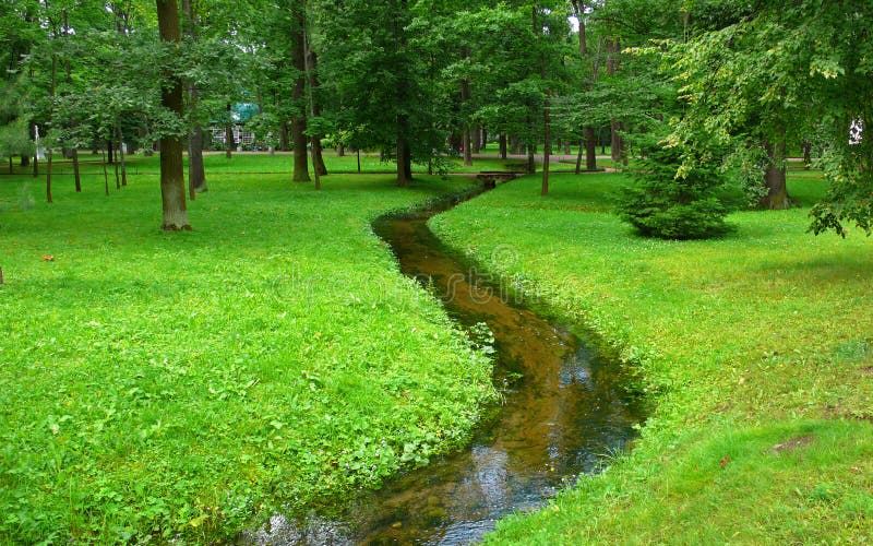 Meandering Stream in a Green Forest Stock Image - Image of curve ...