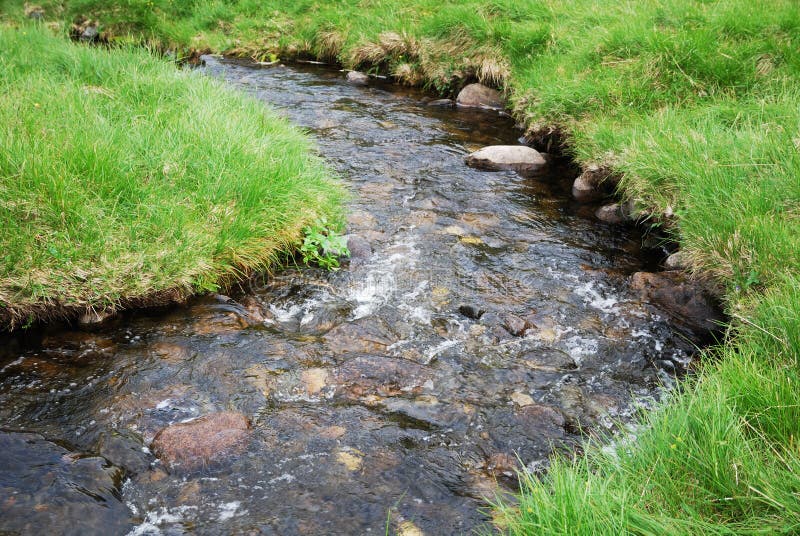 Meandering Stream in Green Grass. Stock Photo - Image of meandering ...