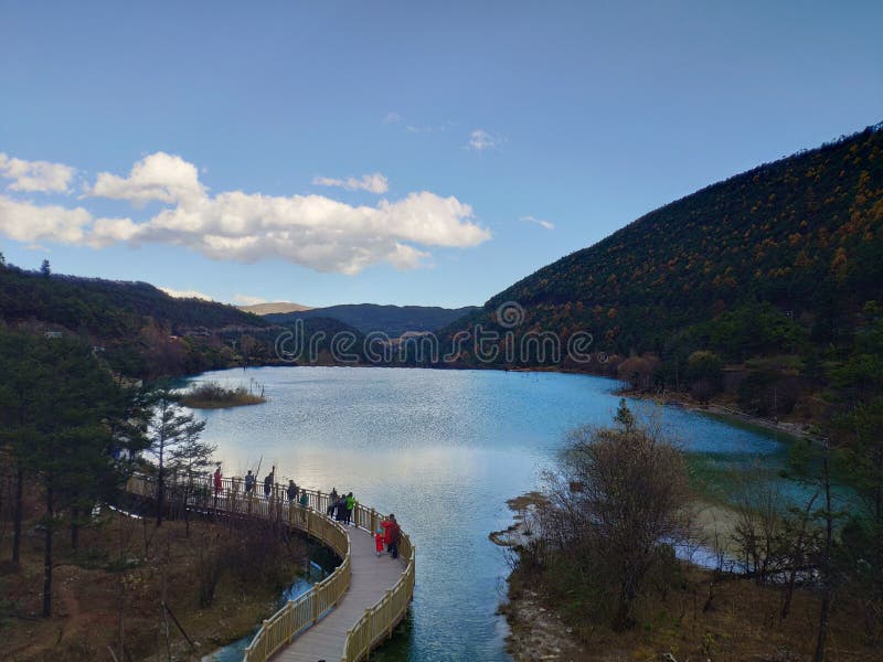 Meanders of snake rivers stock image. Image of water - 200279099