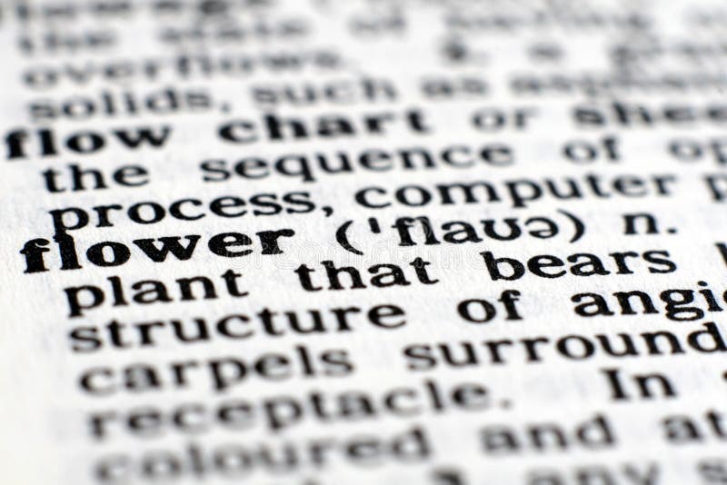 The meaning of Flower stock photo. Image of plants, flower - 6258928