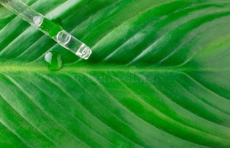 Means To Combat Plant Pests Stock Photo - Image of acro, drop: 70818638