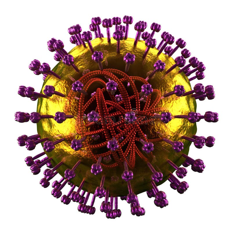 Measles Cell - Microbiology Detailed View - Isolated on White Stock ...