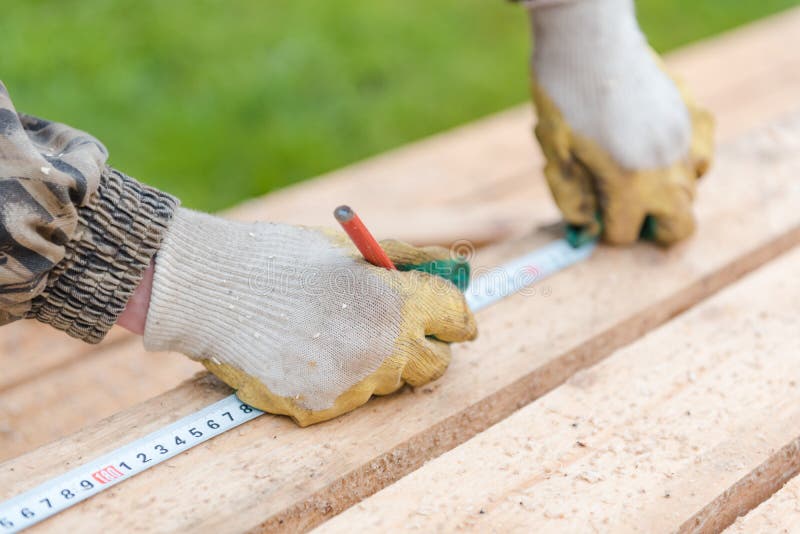 Measure with a Ruler on the Tree. Measure the Distance with a Ruler ...