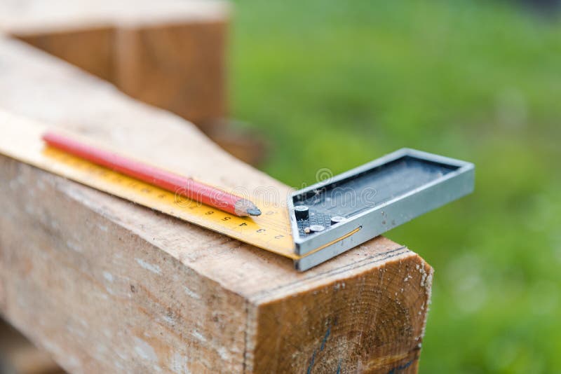 Measure with a Ruler on the Tree. Measure the Distance with a Ruler ...