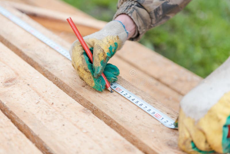 Measure with a Ruler on the Tree. Measure the Distance with a Ruler ...