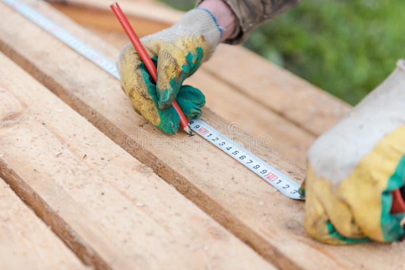 Measure with a Ruler on the Tree. Measure the Distance with a Ruler ...