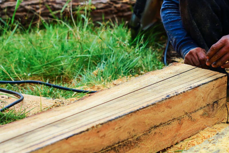 Measure the Size of the Timber Stock Image - Image of joiner, machine ...