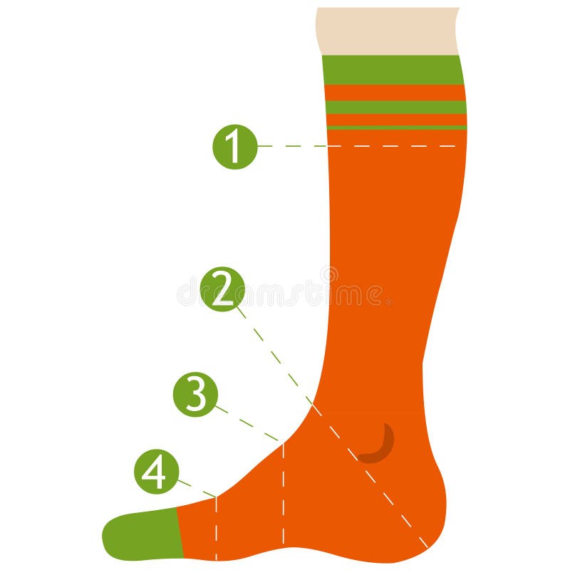 Measurements for Socks. Vector Illustration of Sock Size Flat Stock ...