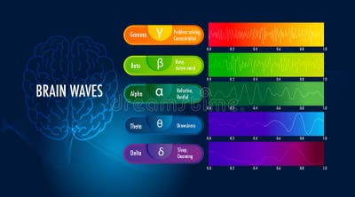 5 Brain Wave Chart on Blue Background Stock Image - Image of energy ...
