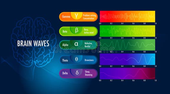 5 Brain Wave Chart on Blue Background Stock Image - Image of energy ...