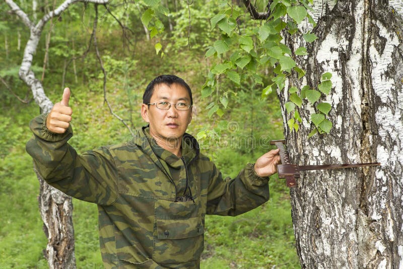 Measuring the Diameter of a Tree Stock Photo - Image of forest ...