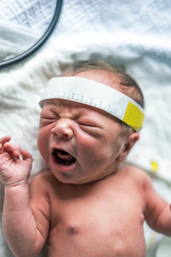Doctor Measuring Head Circumference Baby Stock Photos - Free & Royalty ...