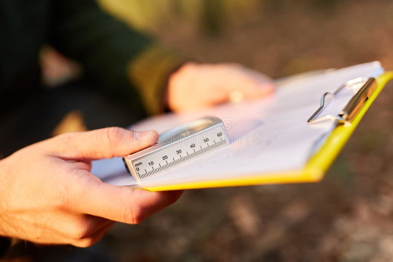 Measuring Instrument for the Determination of Tree Height Stock Image ...