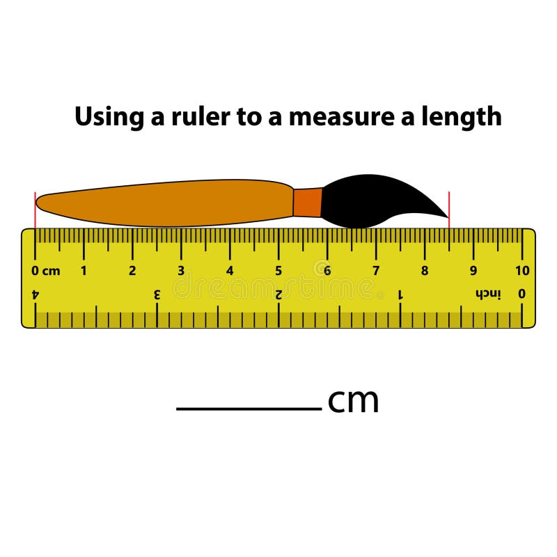 Measuring Length in Centimeters with the Ruler. Education Developing ...