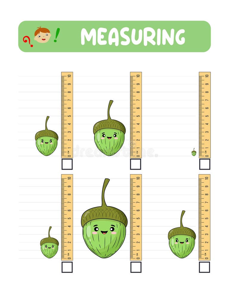 Acorn Measurement Stock Illustrations – 60 Acorn Measurement Stock ...