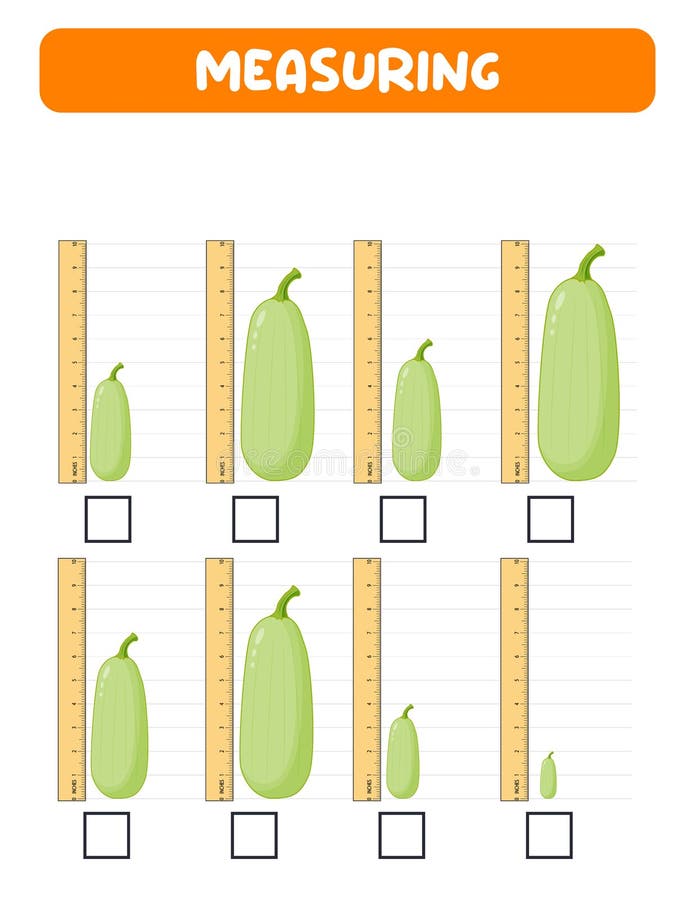 Courgette Measurement Stock Illustrations – 2 Courgette Measurement ...