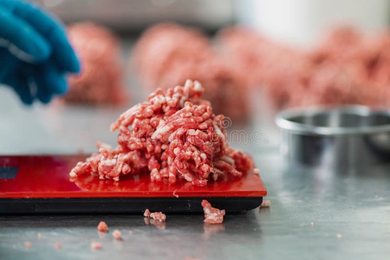 Measuring Minced Meat for Burger Preparation Stock Photo - Image of ...