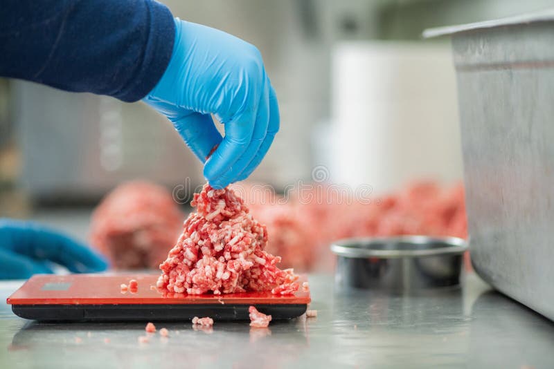 Measuring Minced Meat for Burger Preparation Stock Photo - Image of ...