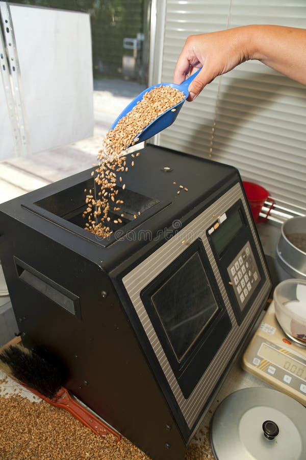 Measuring the Moisture Content of Wood Stock Photo - Image of tool ...