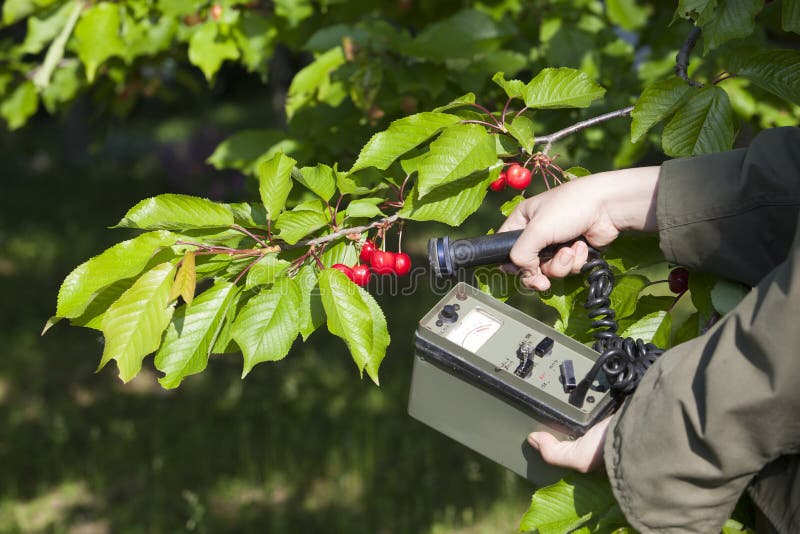 Measuring Radiation Levels of Fruits Stock Image - Image of fruit ...