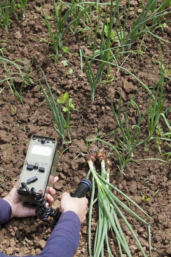 Measuring Radiation Levels of Vegetables Stock Image - Image of ...