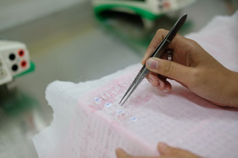 Measuring Rice Grain Seed Length in Lab Stock Image - Image of rice ...
