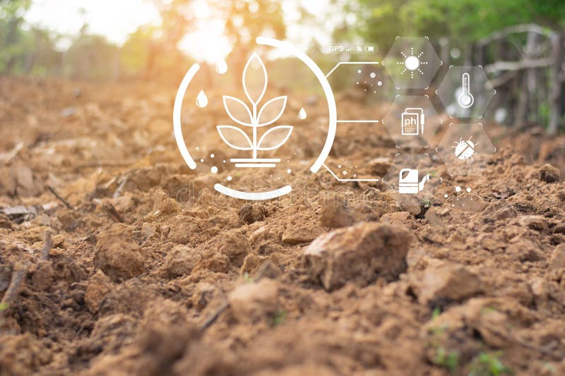 Measuring Soil Conditions for Growing Plants. Measuring PH in Soil ...