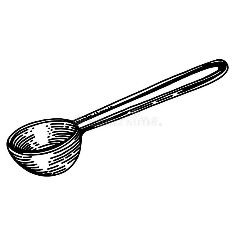 Measuring Spoon for Coffee, Vector Sketch Drawing, Isolated on a White ...