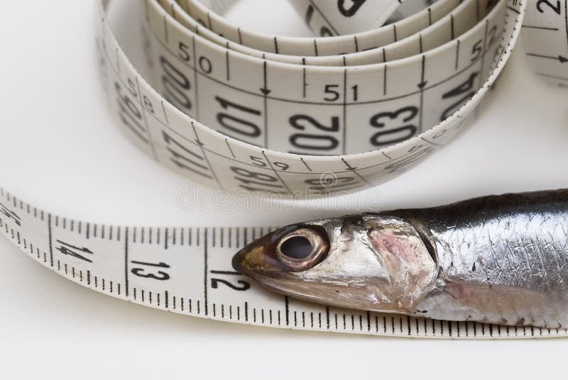 Measuring tape and fish. stock photo. Image of kitchen - 18202916