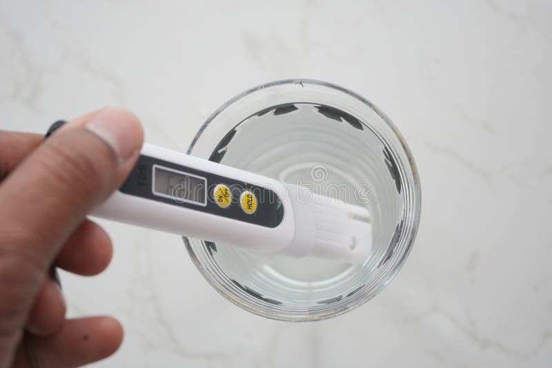 Measuring Water Temperature with a Digital Thermometer in a Glass Stock ...