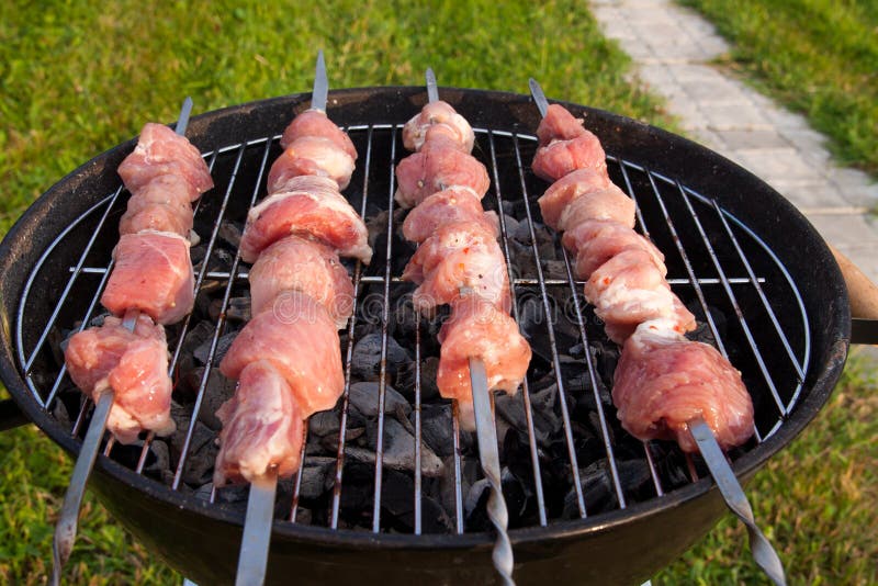 Meat Picture. Image: 15903356