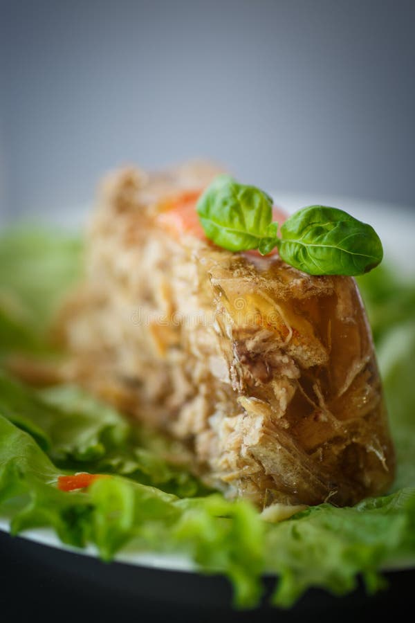 Meat aspic stock photo. Image of gourmet, garlic, appetizer - 35300626