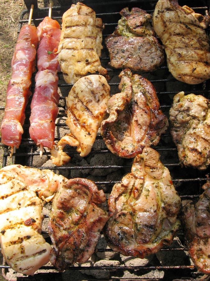 Meat on a barbecue stock image. Image of wood, ember, cook - 3724087