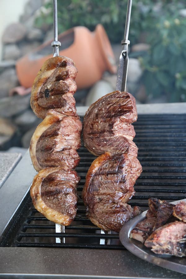Meat on barbecue stock photo. Image of vertical, chop - 7313622