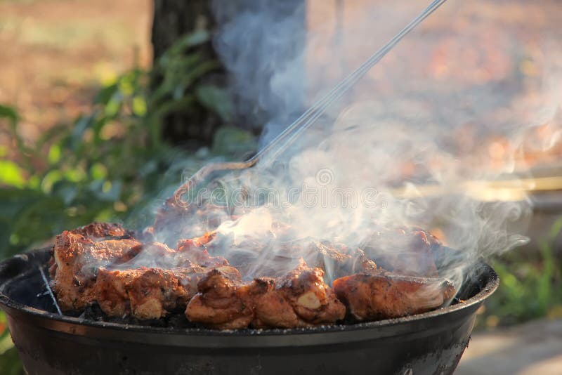 Meat on barbecue stock image. Image of delicious, pork - 67004541
