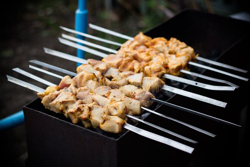 Pork barbecue on sticks stock image. Image of protein - 8133087