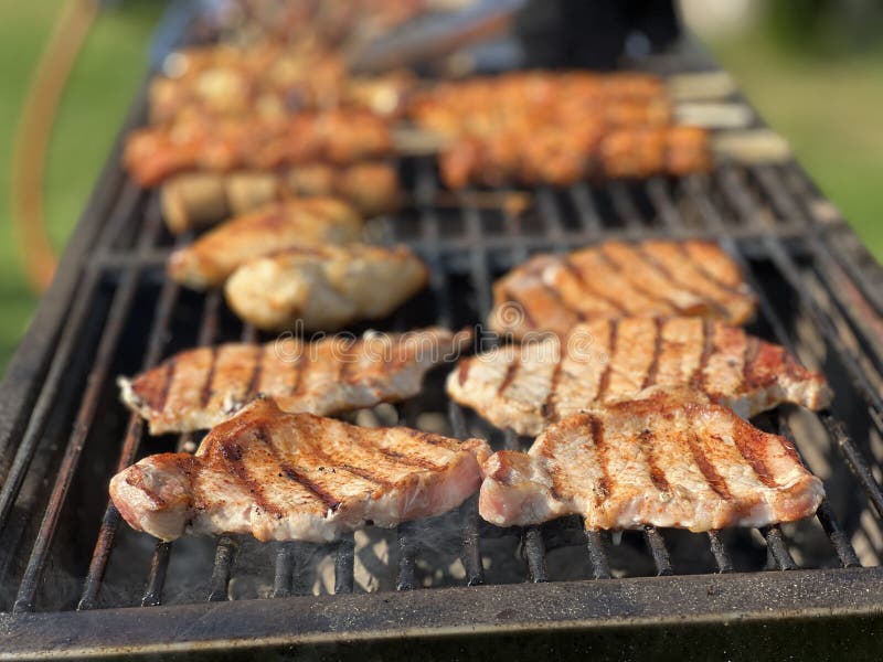 Meat on the barbeque stock photo. Image of outside, barbeque - 259439448